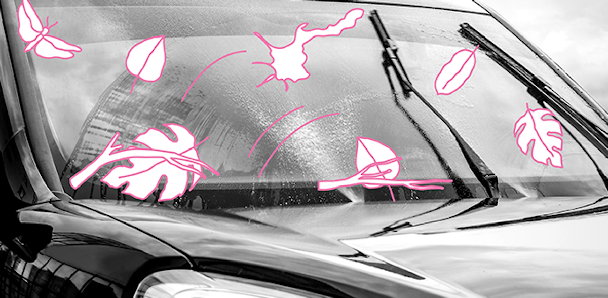 Arm of been in het gips, mag ik nu rijden? - InShared